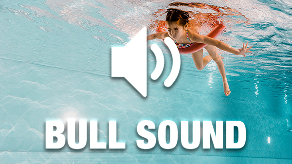 [[B_Sound] Summer] BULL SOUND VS4 & VSS & VSP 아이템 | Item Shop